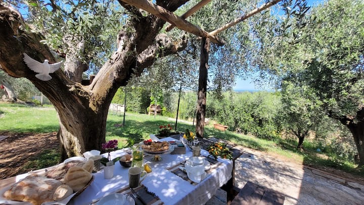 Sew View - Chalet Mandorlo - Castagneto Carducci