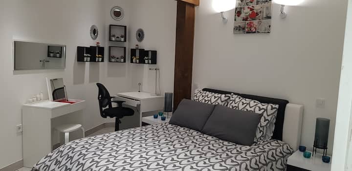 Dijon Super Appartement F1 Bis Climatisé Mezzanine - Longvic