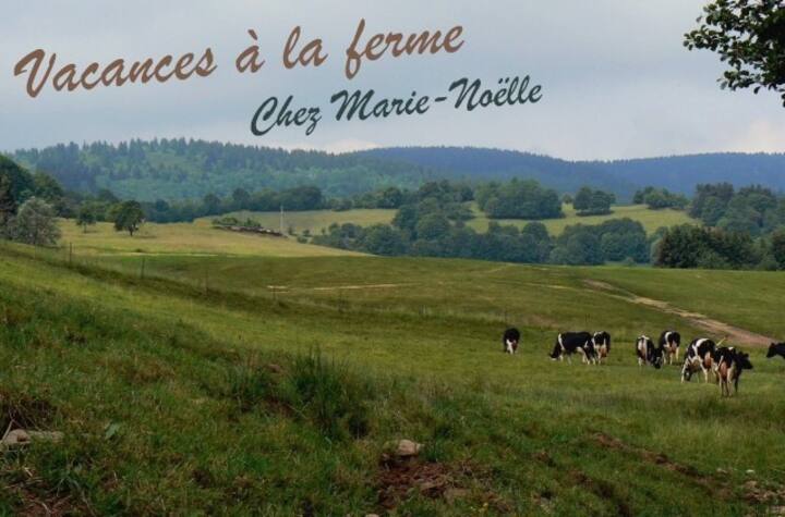 Vacances à La Ferme Gîte Hirondelles - Orbey