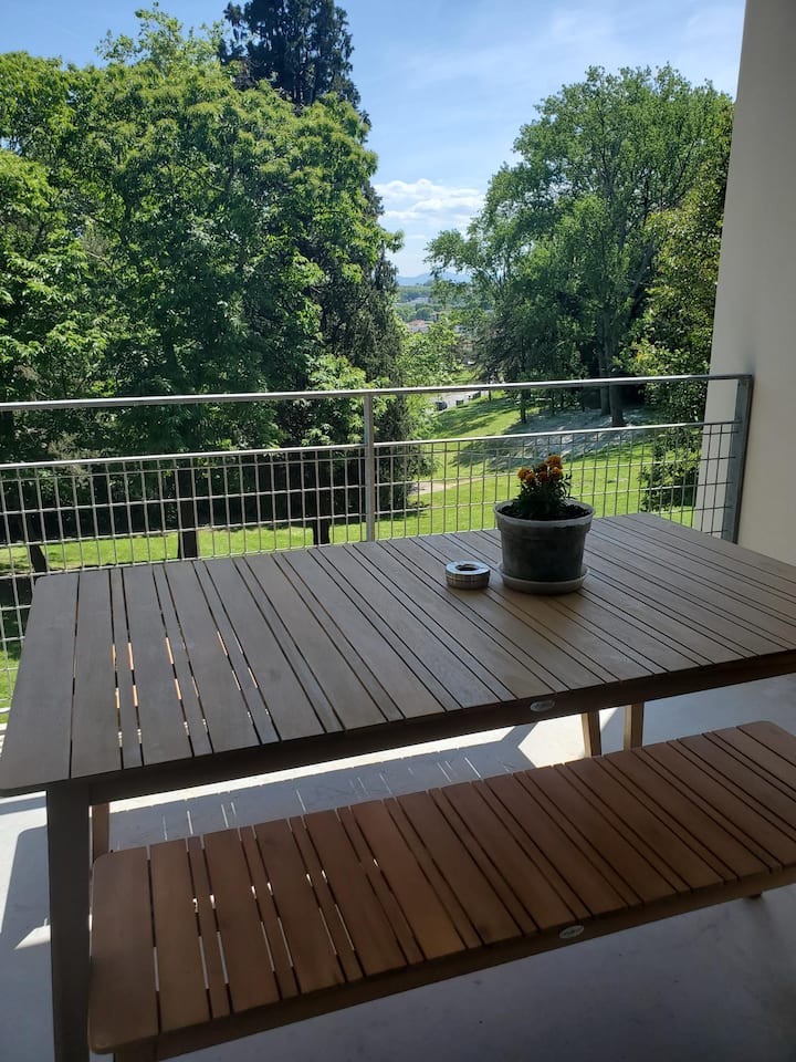 Superbe Appartement Avec Parking Gratuit Sur Place - バイヨンヌ