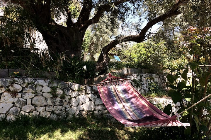 Guesthouse Spanidis - Leucade