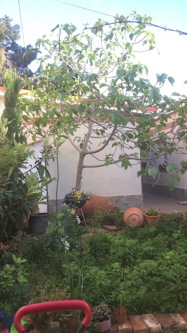 Mini Casa Muy Luminosa Independiente Con Jardín - Madrid