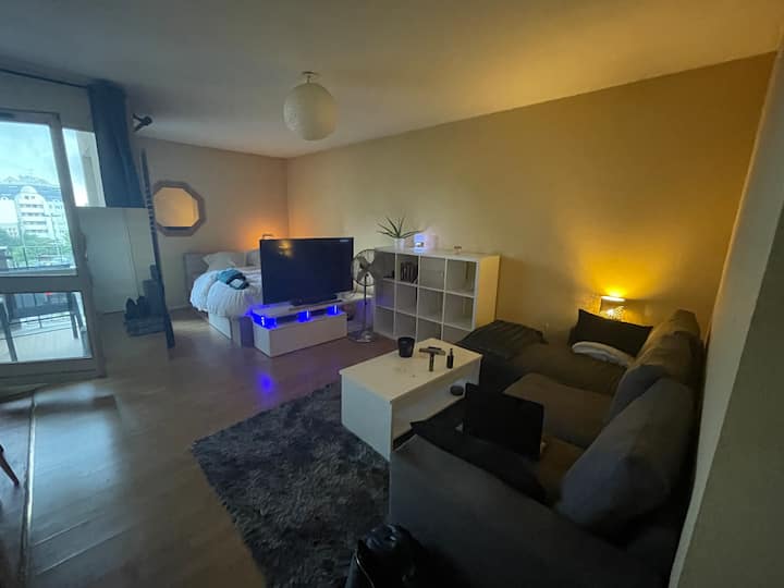 Appartement Avec Terrasse Près Des Bords De Marne - Gagny