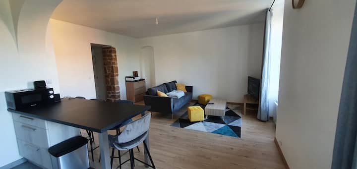 Appartement De Standing Centre De Mâcon 50 M2 - Mâcon