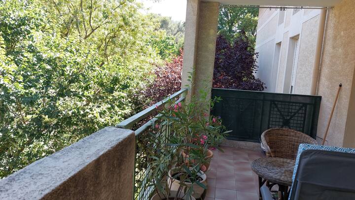 Salon De Provence, à 300 M Du Centre Ville. - Miramas