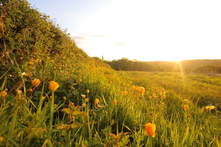 Jasmine Cottage Labdon Farm, Mid Devon - Devon