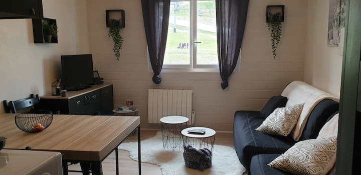 Appartement Rénové 4/6 Personnes Vue Pistes - La Pierre Saint Martin
