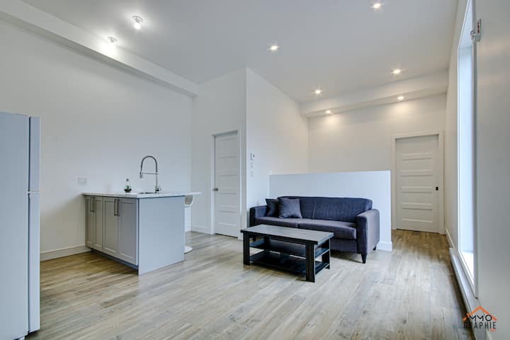 Superbe Logement - Trois-Rivières