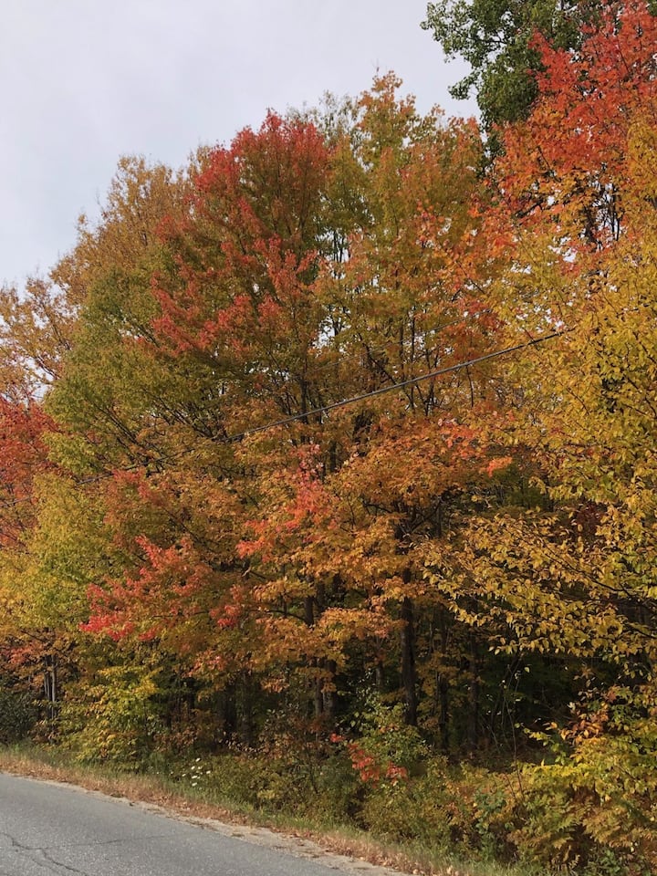 Cozy Condo For Skiing-hiking-biking Lovers - Claremont, NH