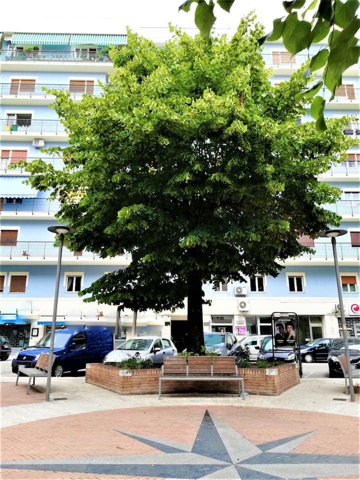 Appartamento Al Mare Con Ampio Balcone - San Benedetto del Tronto