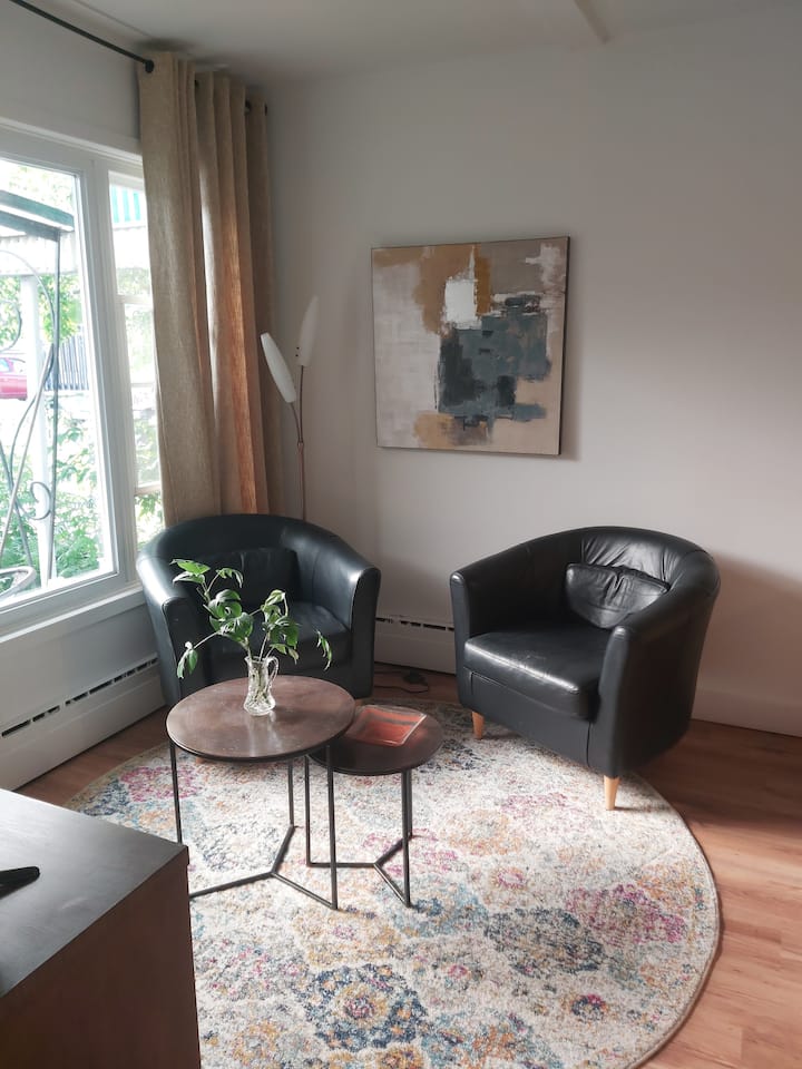 Studio Mont Bellevue - Sherbrooke