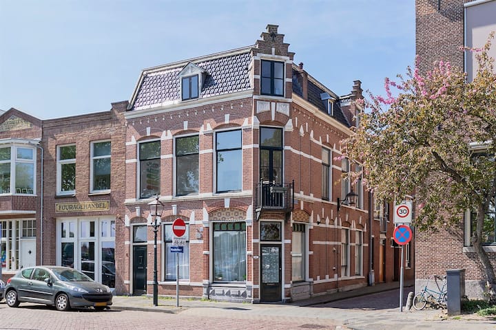 Monumentaal Appartement Met Fantastisch Uitzicht - Haarlem