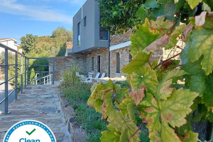 Soalheira Douro House - Pinhão