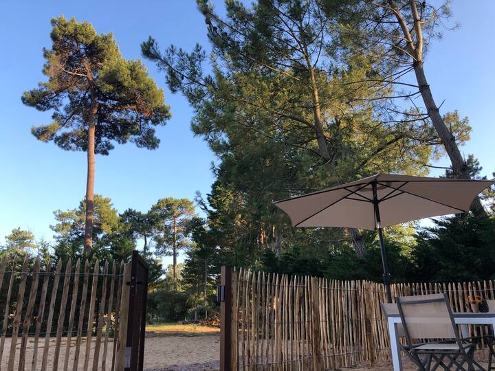 Maison Sous Les Pins Dans Un Parc Résidentiel Neuf - La Tranche-sur-Mer