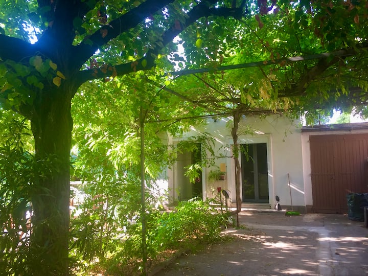 Une Chambre Terrasse Dans Un Jardin D'arles - Arles