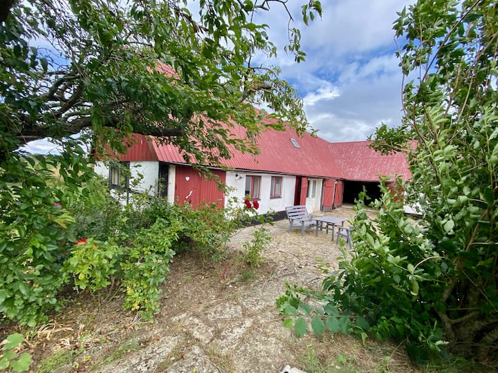 Gästboende I Klassisk Skånelänga På ÖSterlen - Simrishamn