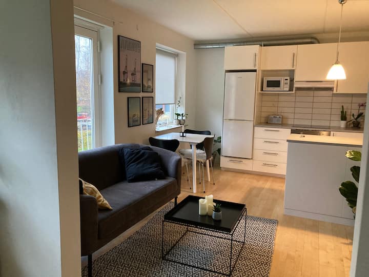 En Skøn Bolig Med En Moderne Indretning Udlejes. - Aarhus