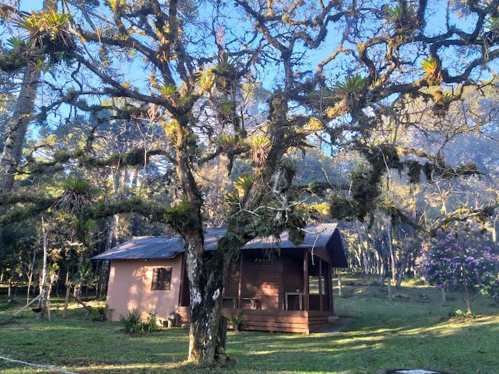 Rancho Paraíso Verde, Conexão Com A Natureza! - Campo Alegre