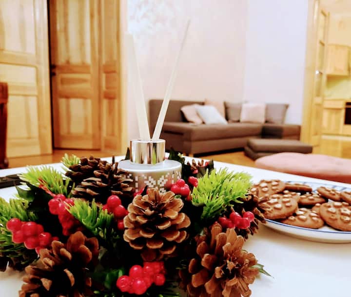 Old Town Piano Apartment - Timisoara