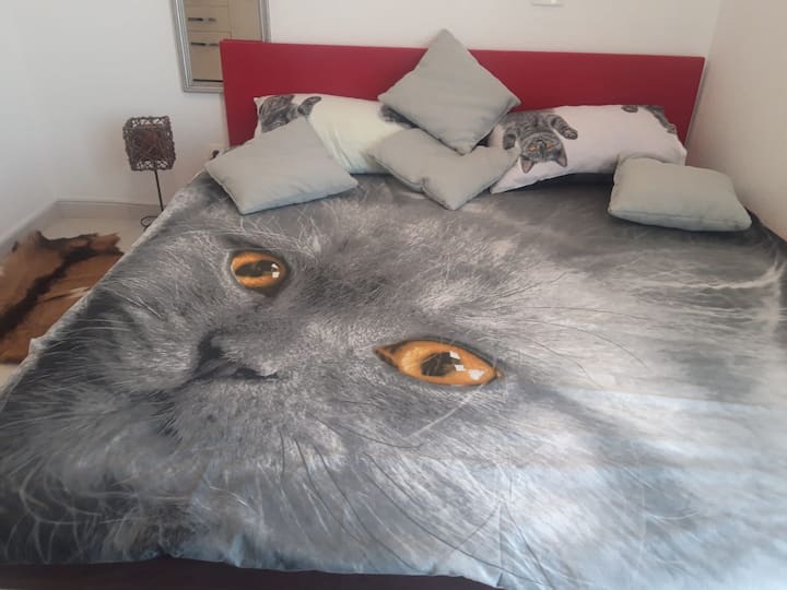 Studio Apartman   Dixi *** - Makarska