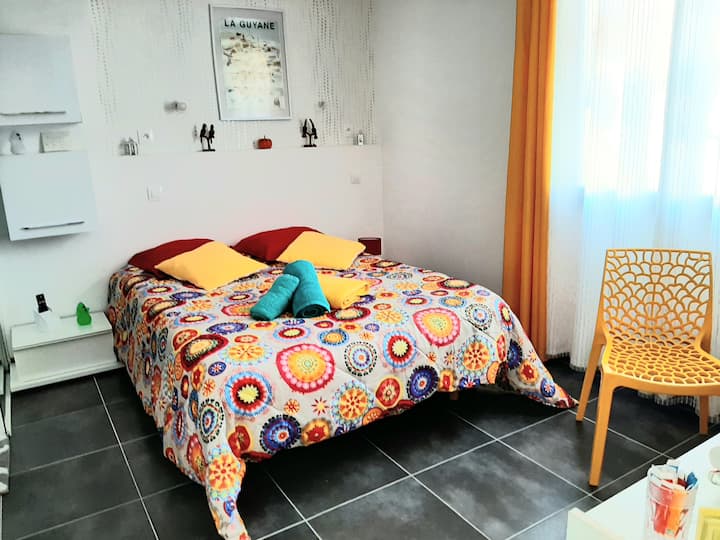 Au Calme Près De St Cyprien Et Collioure ! - Saint-Cyprien