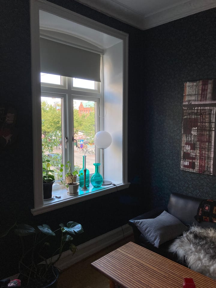 Fin Sekelskifteslägenhet På Möllevångstorget - Malmö