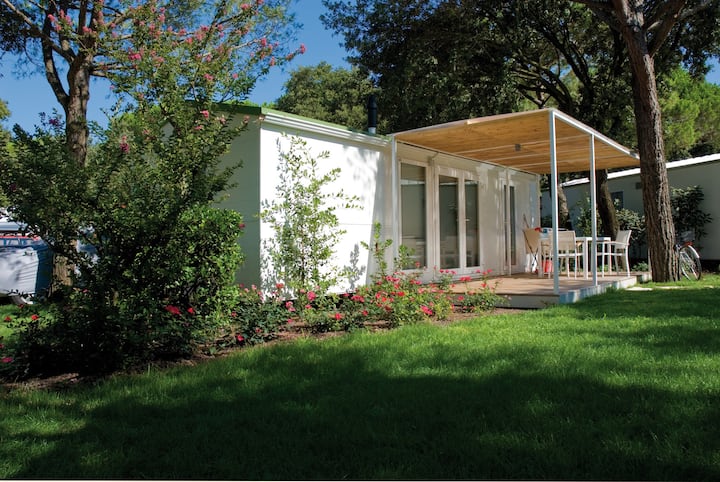 Lodge Dog - C/o Jesolo Mare F.c. Village - Eraclea Mare