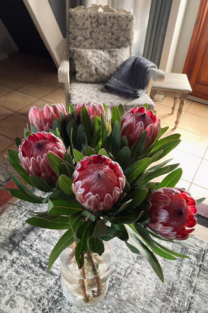 The Whale House On Sedgefield .. Serenity@best!!!. - Sedgefield