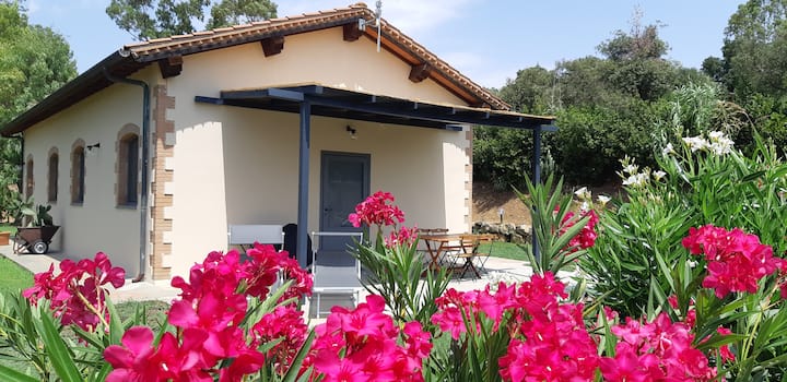 Appartamento Vicino Al Mare Ma Immerso Nel Verde - Castiglione della Pescaia