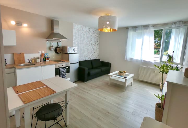 Charmant Appartement à Rennes - Rennes