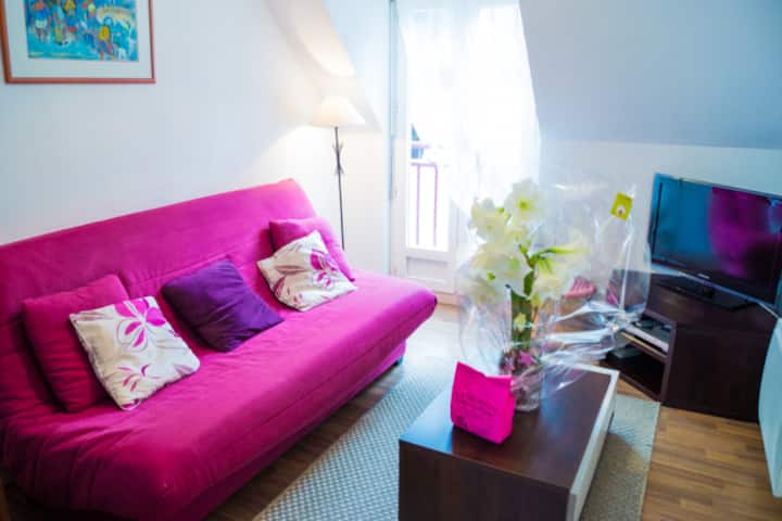 Appartement En Centre Ville T2 Bis Avec Wifi - Cauterets