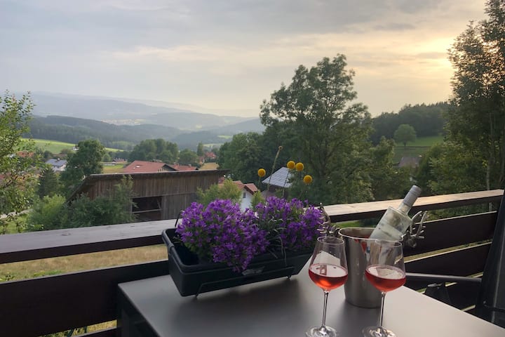 Apartment Tälerblick 2 M. Balkon - Böbrach