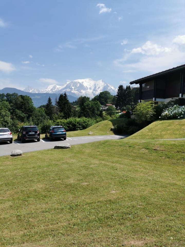 Combloux : Agreable Studio Face Au Mont Blanc - Combloux