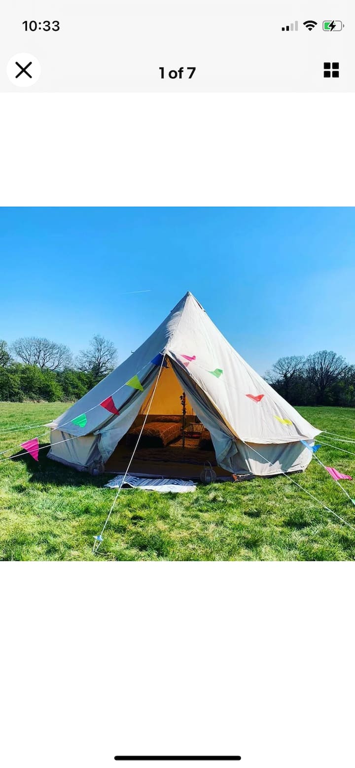 Campio’r Cnwc - Lampeter