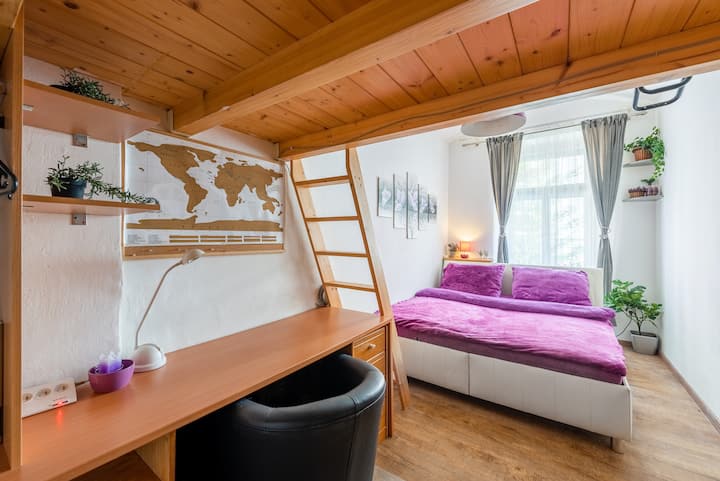 Homy, Fully Equipped Flat (Wi-fi/netflix/guides) - Praga