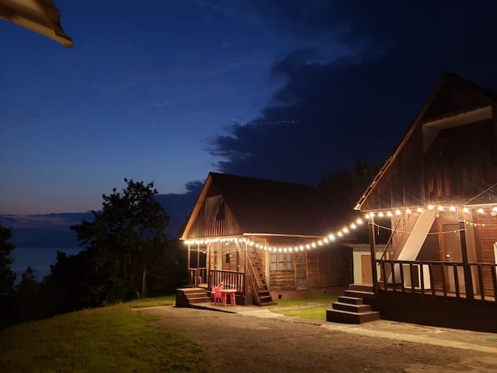 Seaside Forest - Artvin