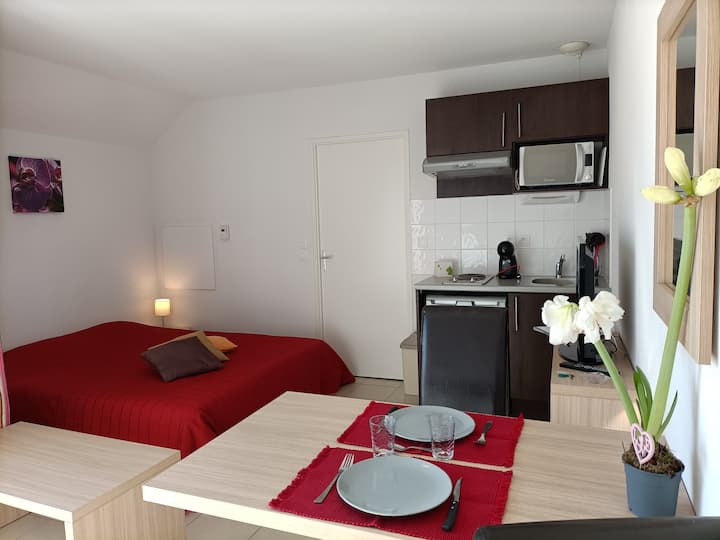 Studio Terrasse Dans Résidence Avec Piscine C62 - Salies-de-Béarn