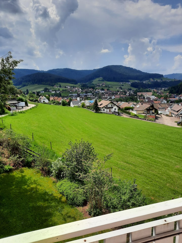 Appartement De Vacances Aida Vue Panoramique - Baiersbronn
