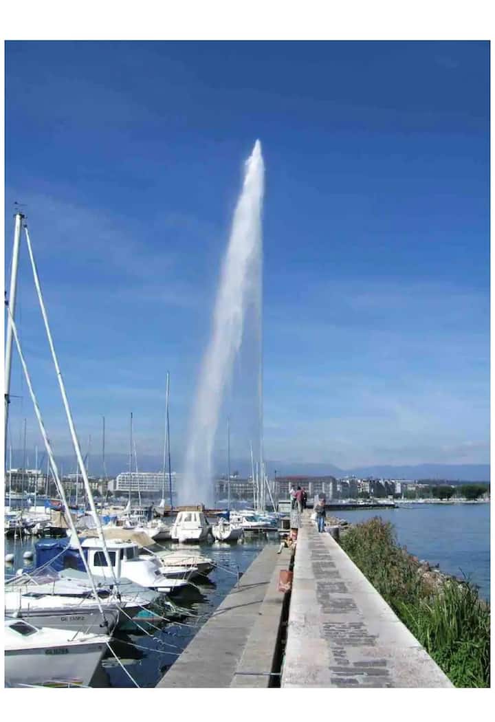 Central Apartment By The Geneva Lake - Geneva