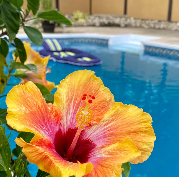 St Jacobs Spa Oasis - St. Jacobs