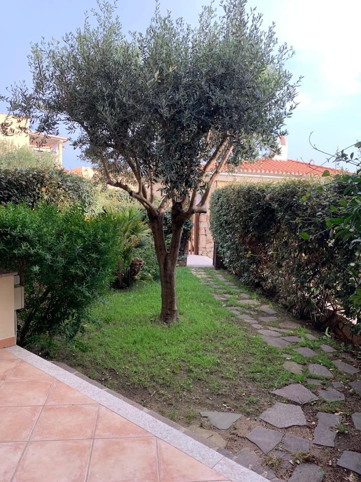 Delightful Two-room Apartment 300 Mt From The Sea - Golfo Aranci