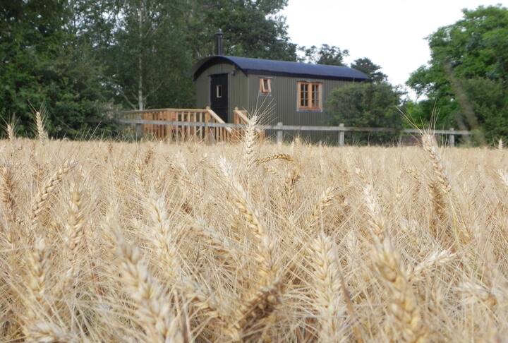 Cosy Shepherds Hut In Peaceful Rural Location. - Stanstead