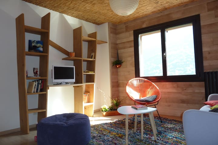 Grand Appartement De 100 M2 Au Deuxième éTage - Piau Engaly