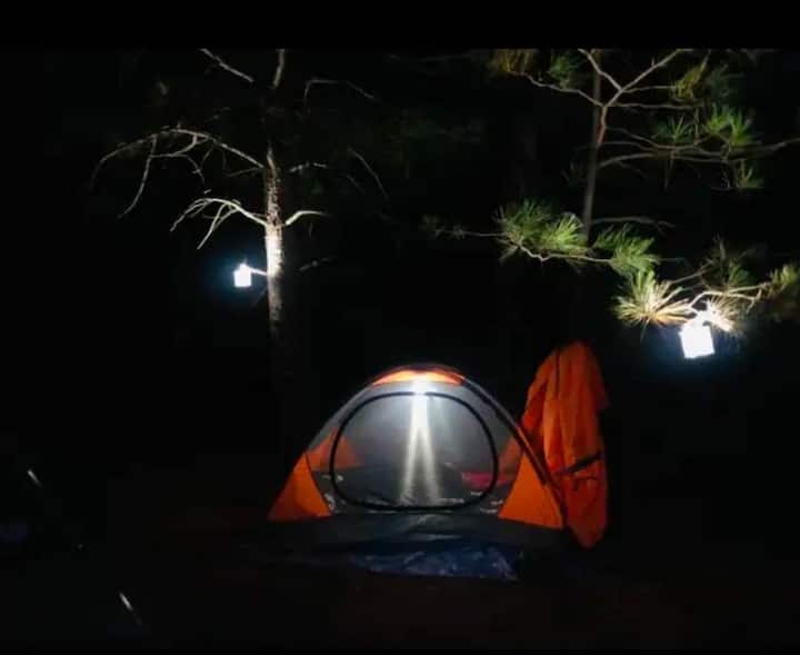 Lazy G Ranch Creek Side Camping - Arnold, California, CA