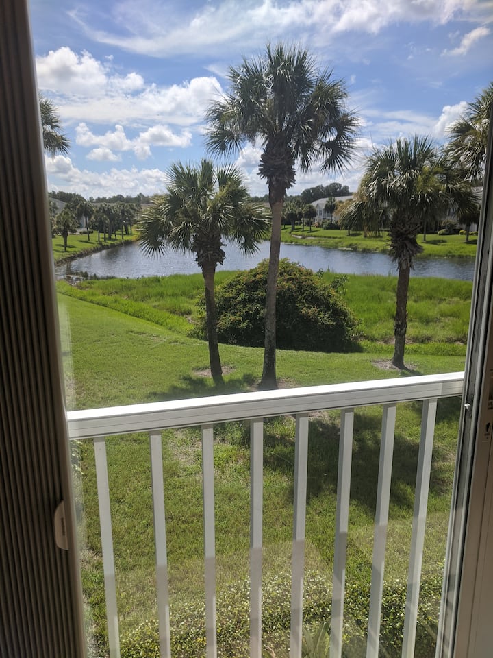 Lovely 3 Bedroom With Pool In Beautiful Venice Fl - Venice, FL