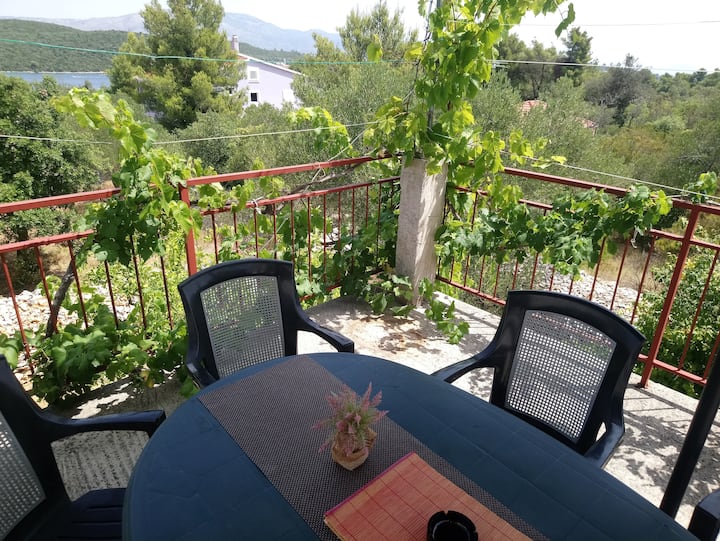 Lila - Korčula