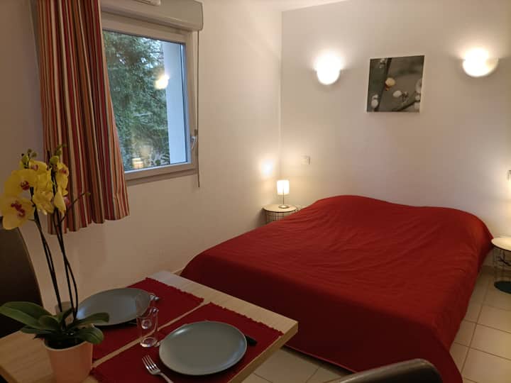 Studio Dans Résidence Avec Piscine B20 - Salies-de-Béarn