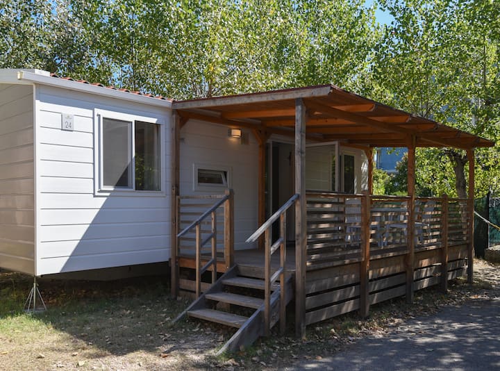 Lodge Comfort Dog - Riccione