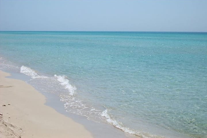 Ugentomarina Salento Torre San Giovanni 50mt Mare - Ugento