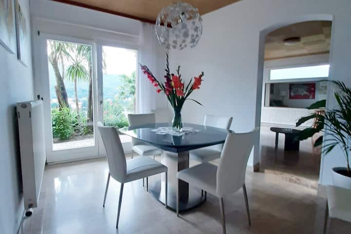 Villa Mit Palmen Auf Grosser Terrasse - Caslano